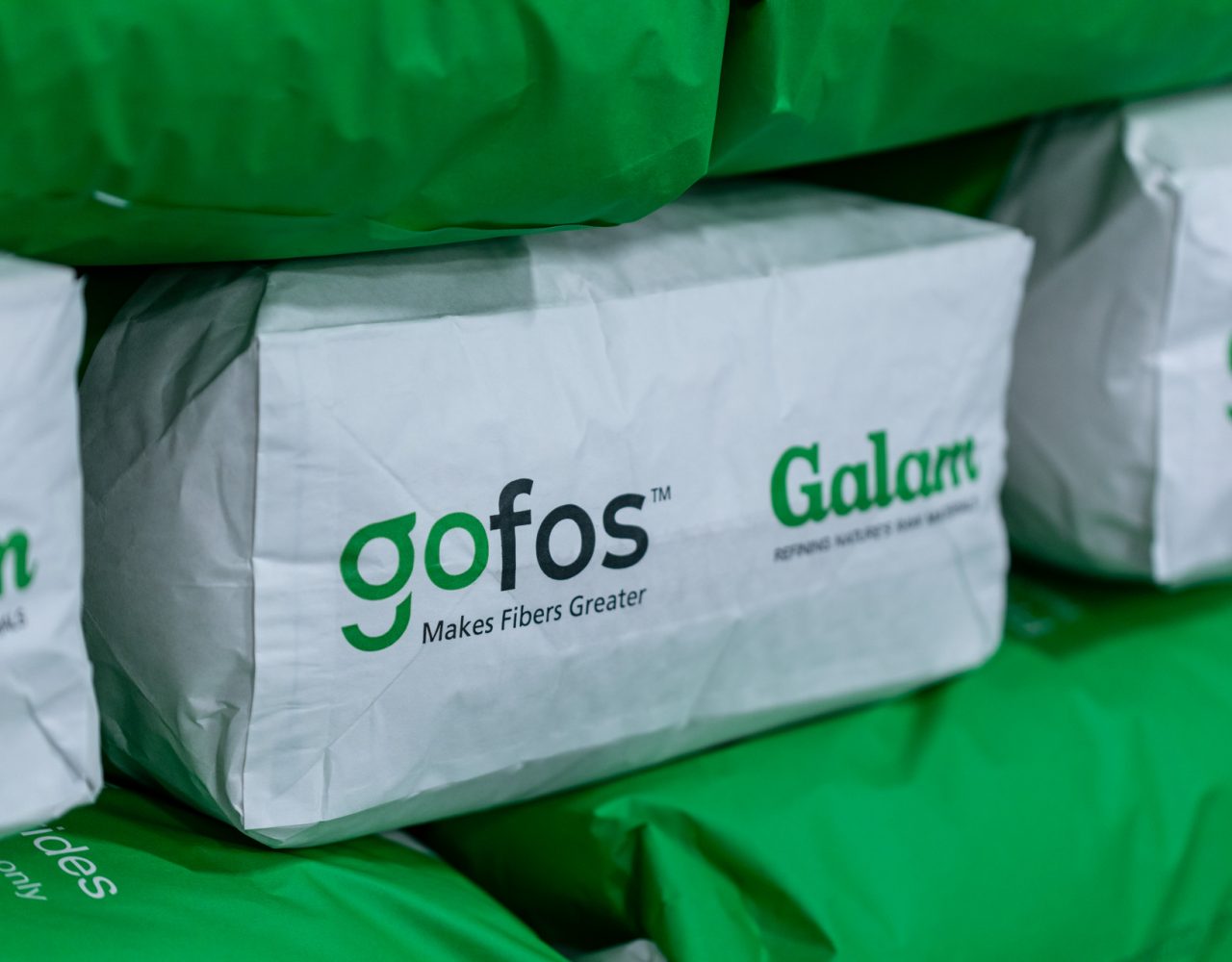 חדשות ומדיה - גלעם